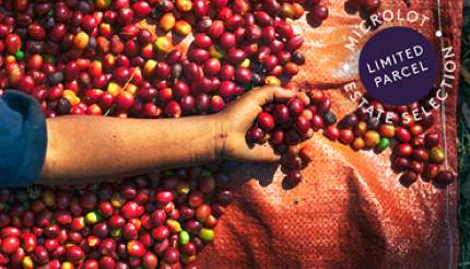 The world’s best coffees - A World of Food and Drink
