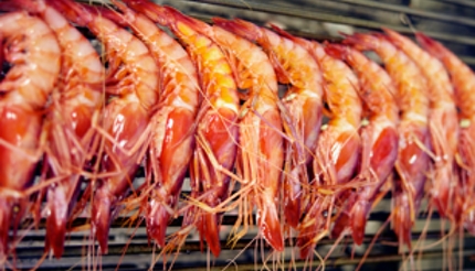 Asador Etxebarri review - A World of Food and Drink