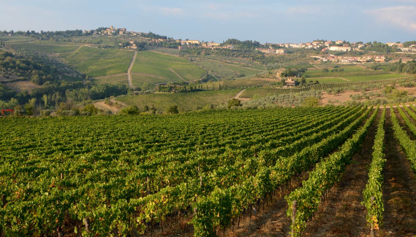 Great Wine Holidays: Tuscany - A World of Food and Drink